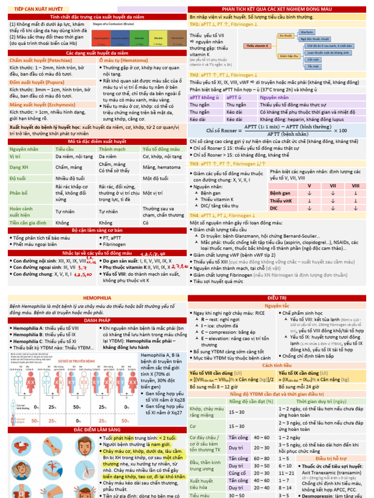 DKN Xuất Huyết | PDF