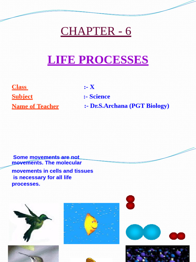 6 Life Processes | PDF