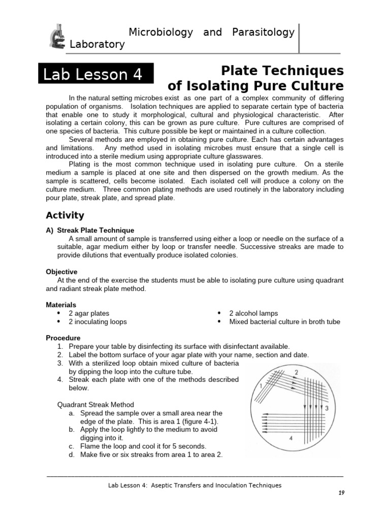 lab 4_plate isolation techniques | PDF