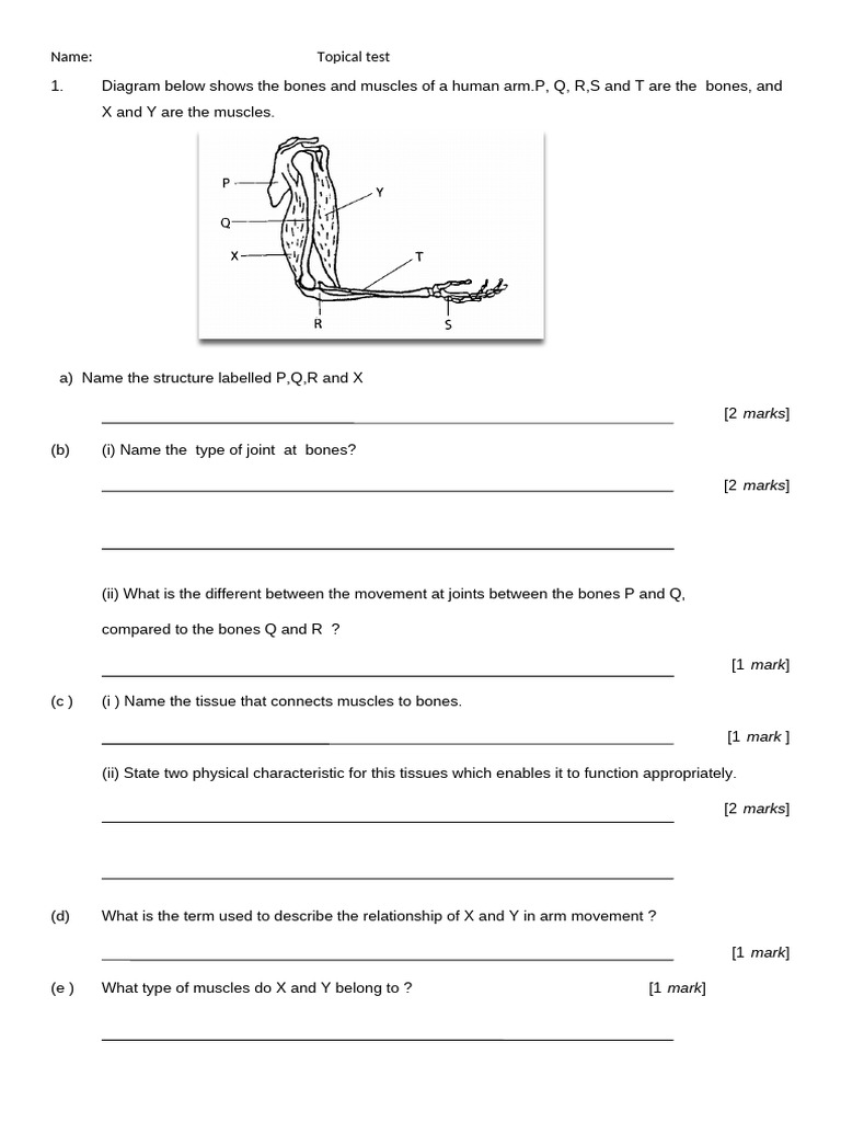 Topical Test Locomotion | PDF