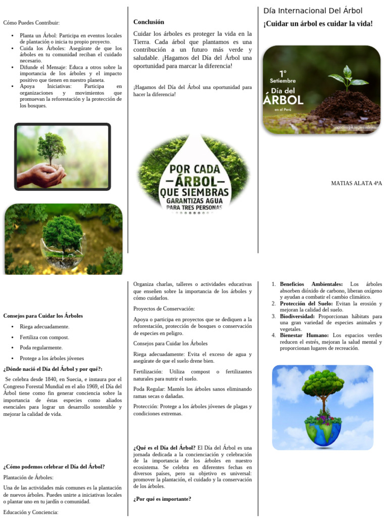 Día Del Árbol | PDF