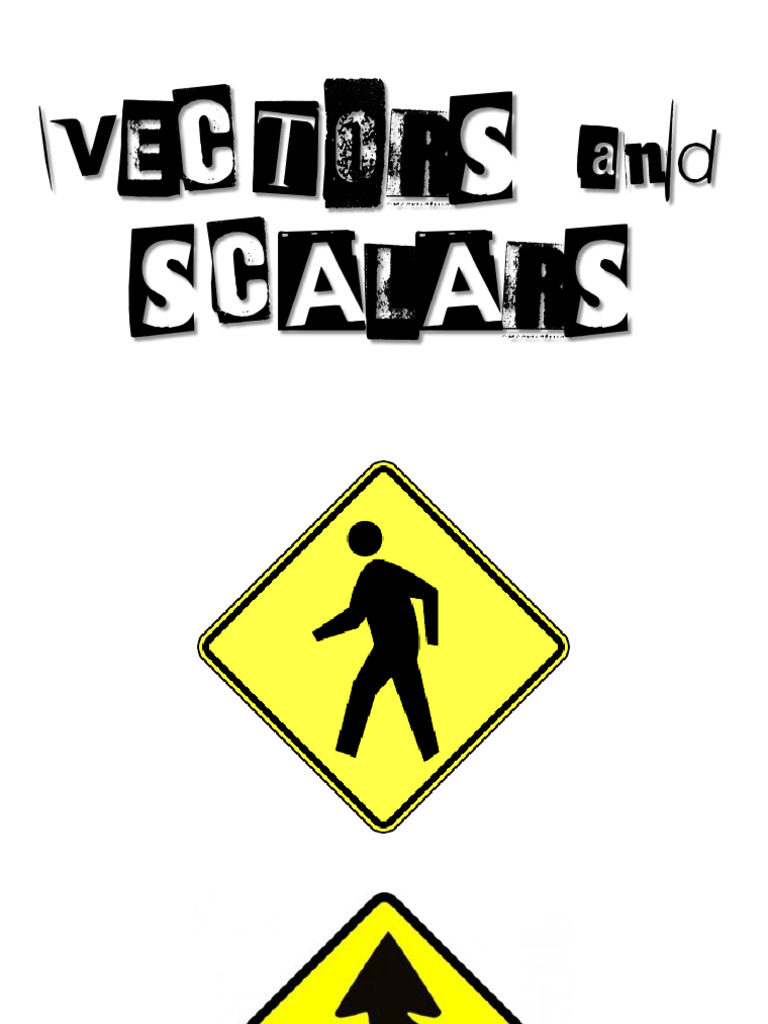 Vectors and Scalars | PDF | Euclidean Vector | Trigonometry