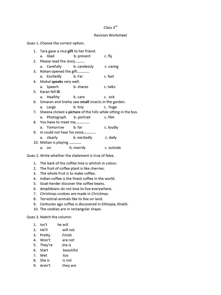 Class 3rd English Revision Worksheet | PDF