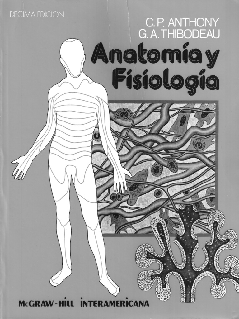 Anatomia y Fisiologia. C.P. Anthony | PDF