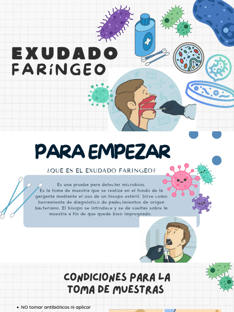 Exudado Faringeo Muestras 20240525 225155 0000 | PDF