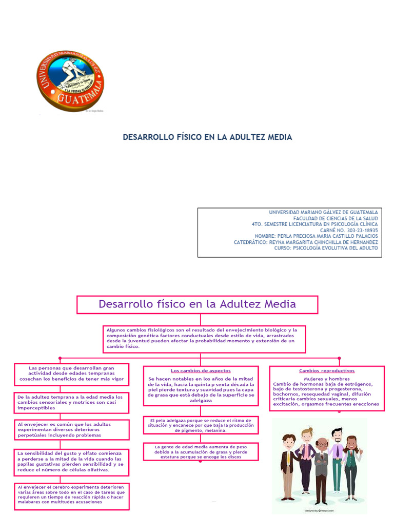 Desarrollo Físico en La Adultez Media | PDF