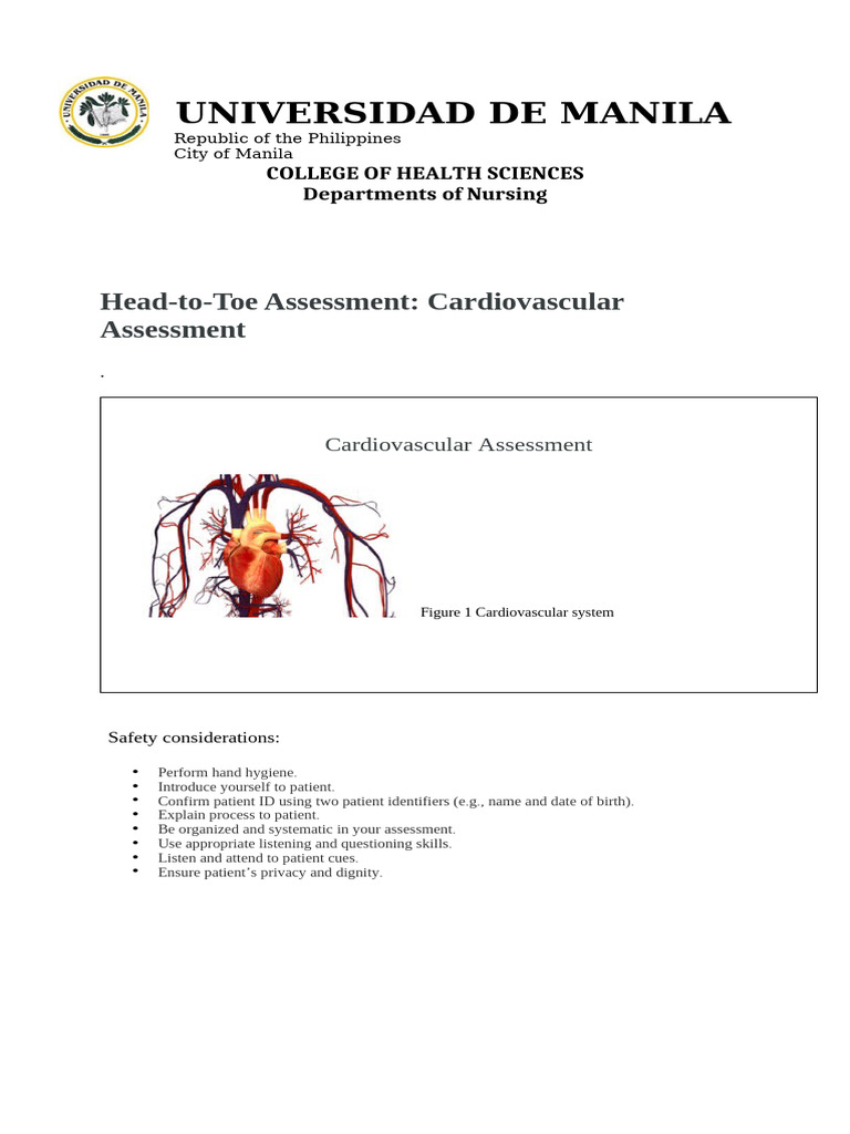 Head To Toe Cardiovascular Assessment Pdf