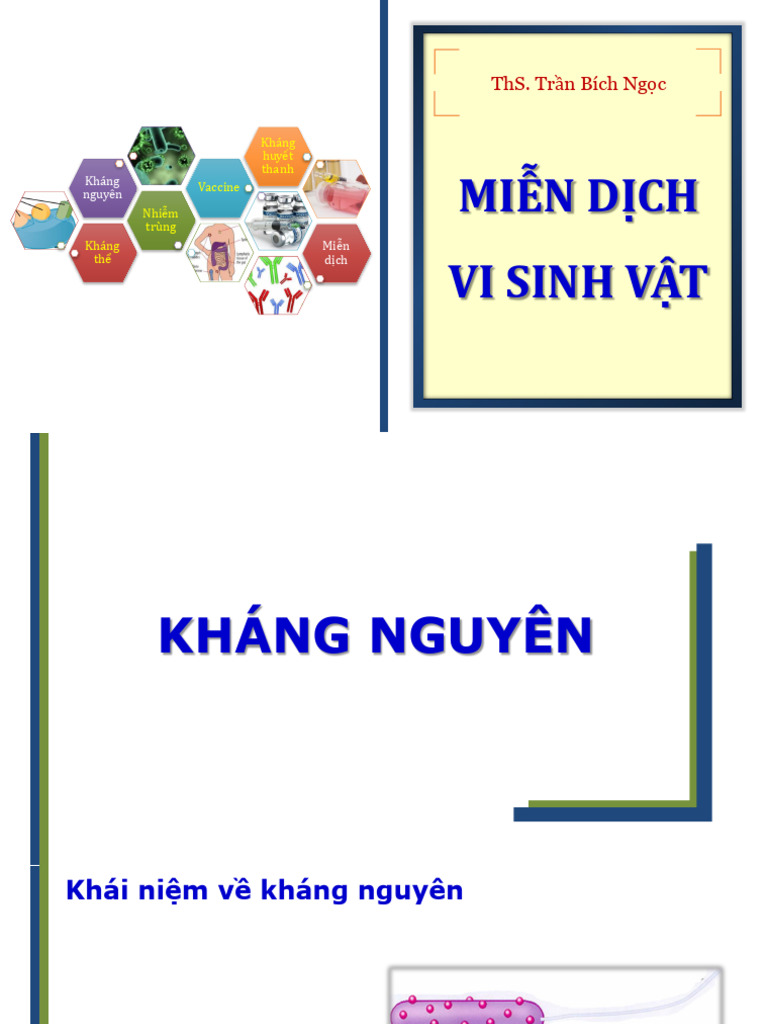 Microbiological Immunity | PDF