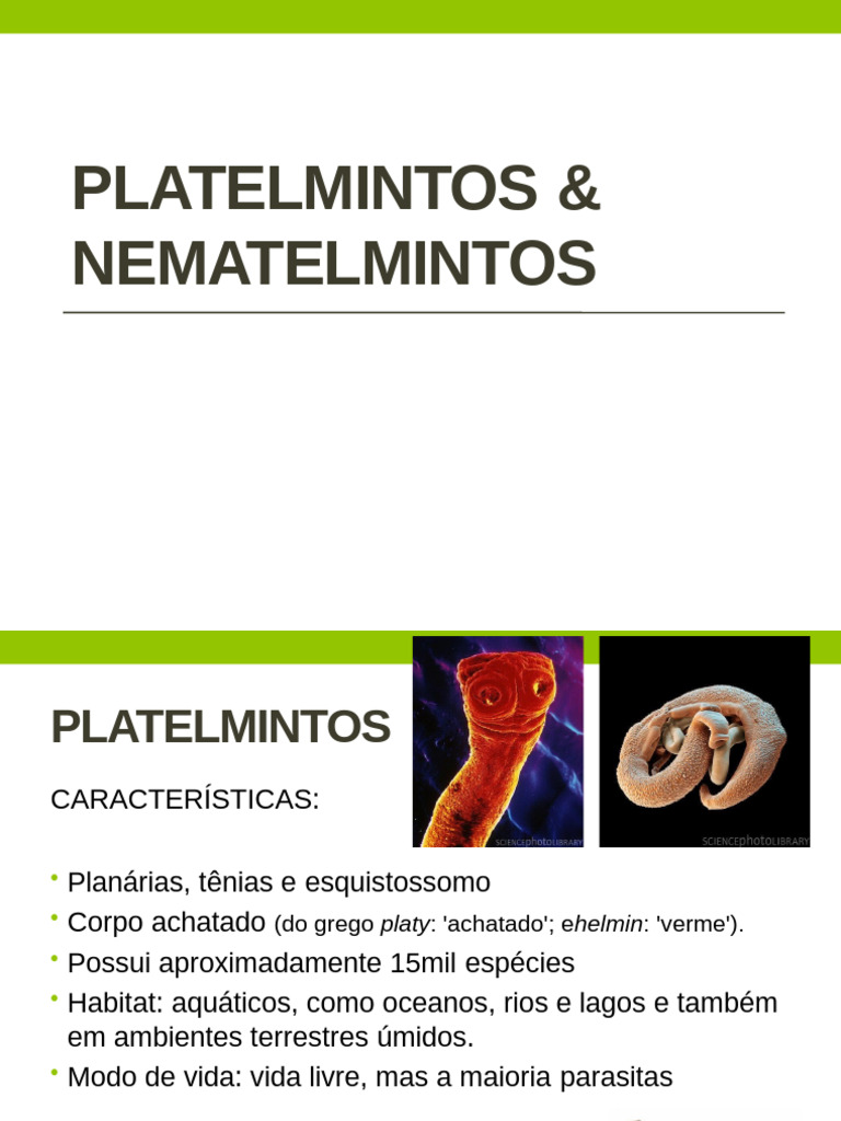 Platelmintos Nematelmintos | PDF