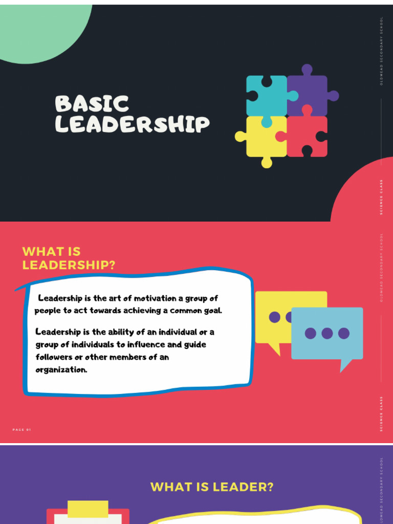 Basic Leadership | PDF