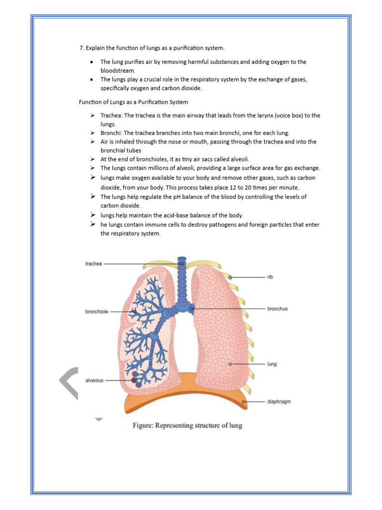 Module 3 Biology | PDF