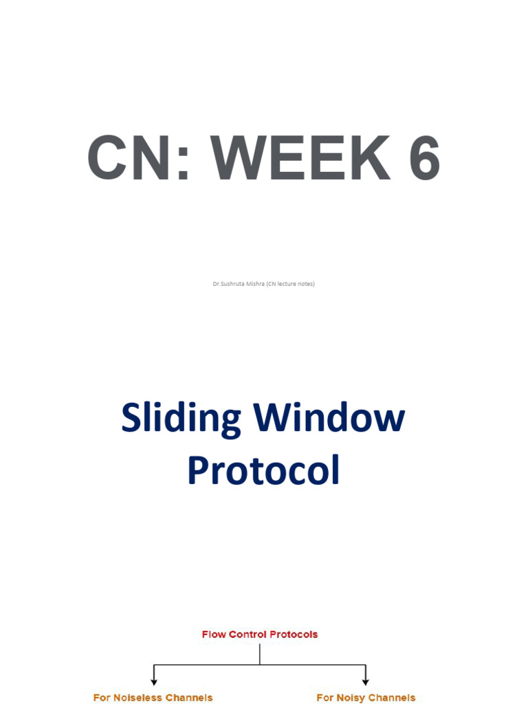 CN Week 6 | PDF