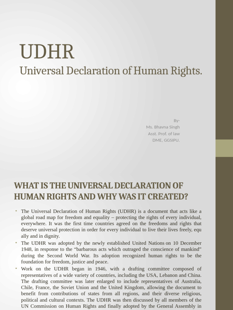 UDHR | PDF