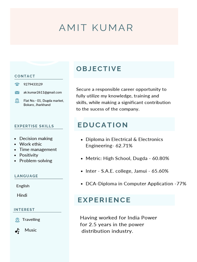 Amit's CV | PDF