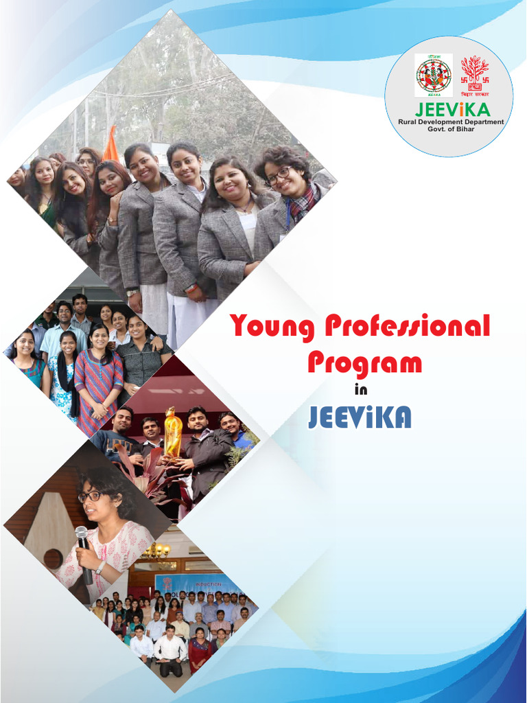 Young_Professional_Program_Brochure | PDF