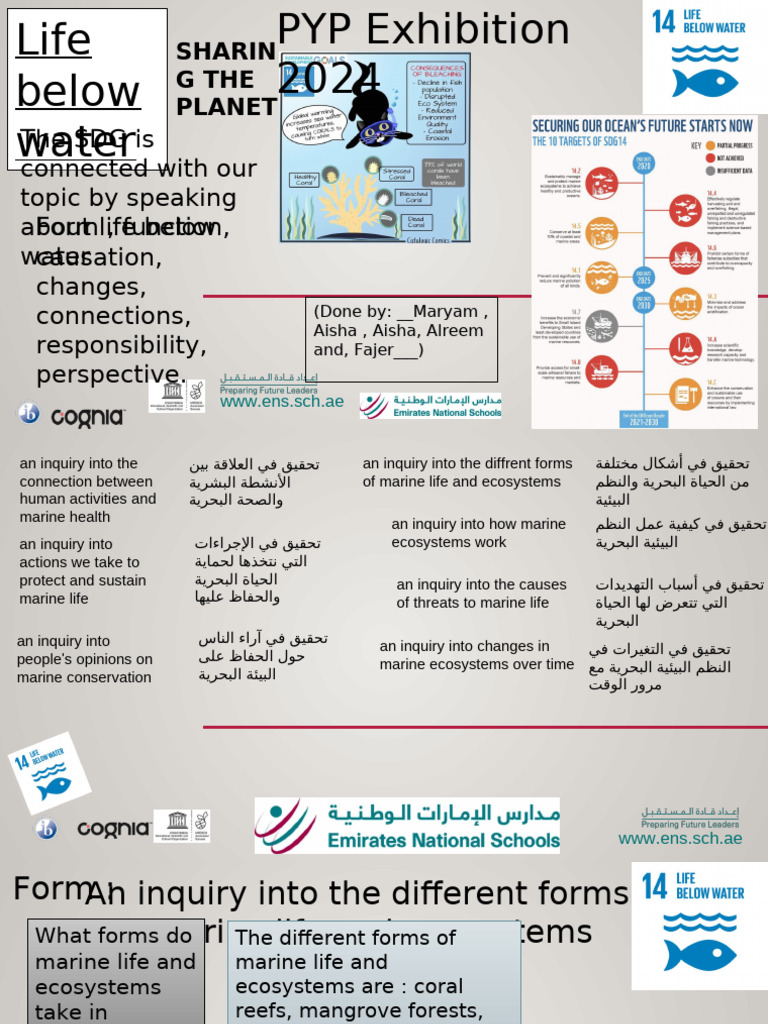 Life Below Water Group 3 | PDF