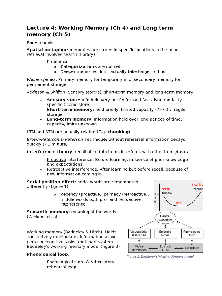 Lecture 4 - Working Memory and Long Term Memory in Social Sciences | PDF