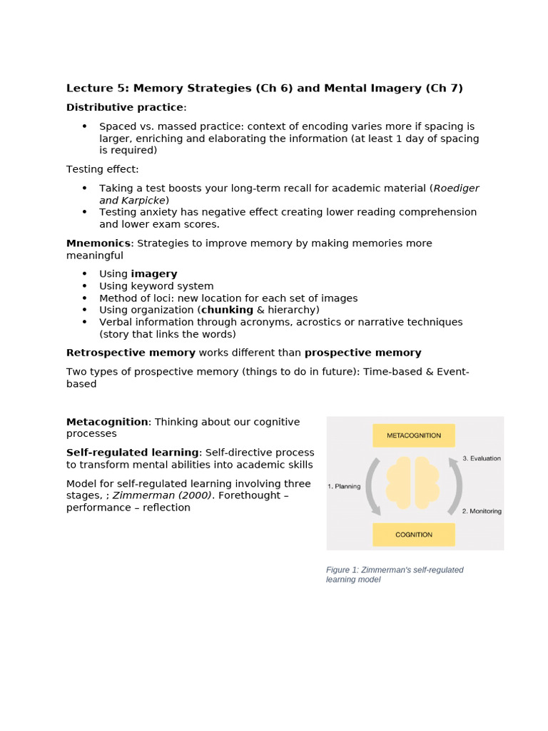 Lecture 5 - Memory Strategies and Mental Imagery in Social Sciences | PDF