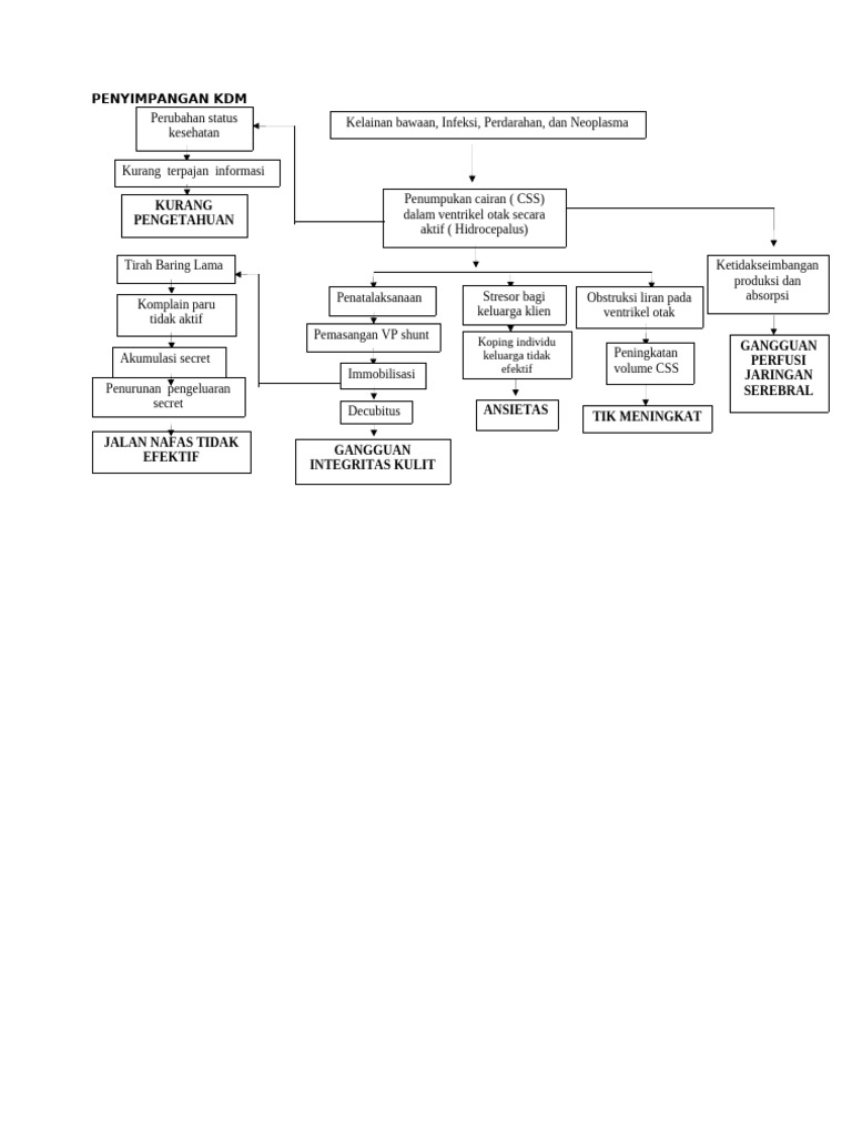 PKDM Hidrocephalus | PDF