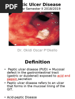 PUD Presentation | PDF