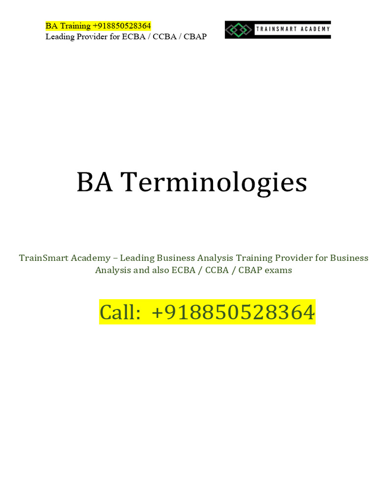 BA Terminologies | PDF