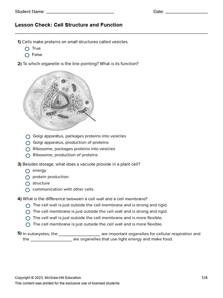 Lesson Check: Cell Structure and Function: Student Name: Date | PDF