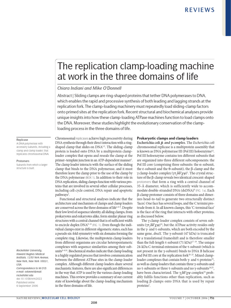 (2006) The Replication Clamp-Loading Machine | PDF
