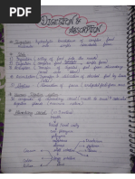 Digestive System Notes | PDF