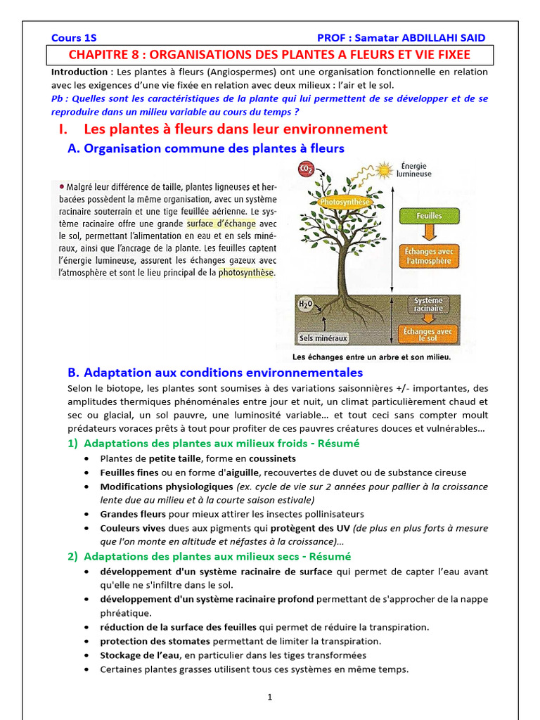 Chap 8 Et 9 Des Plantes À Fleurs | PDF