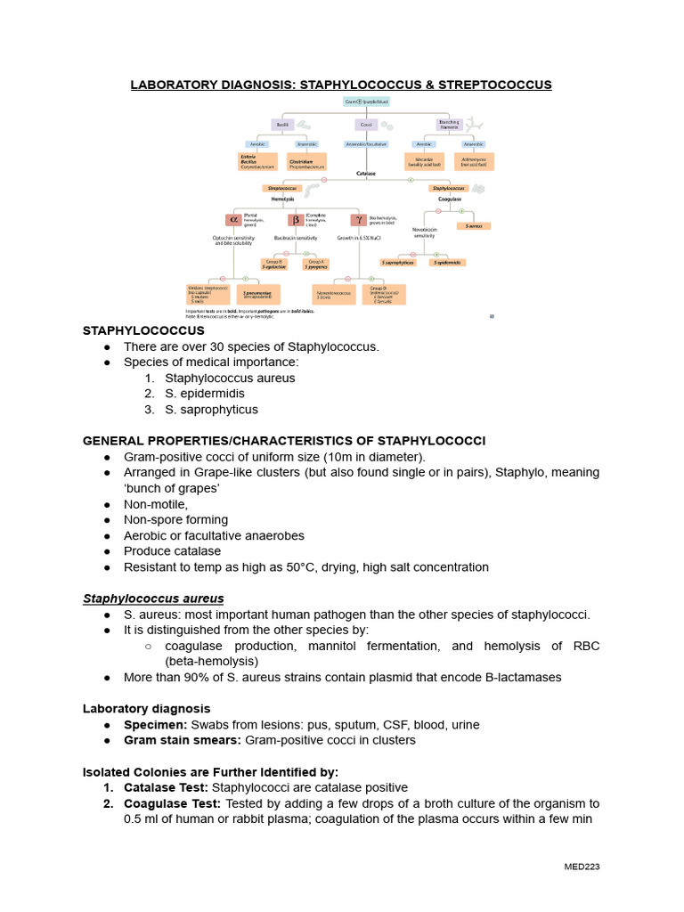 LABORATORY DIAGNOSIS - STAPHYLOCOCCUS & STREPTOCOCCUS (Revised) | PDF