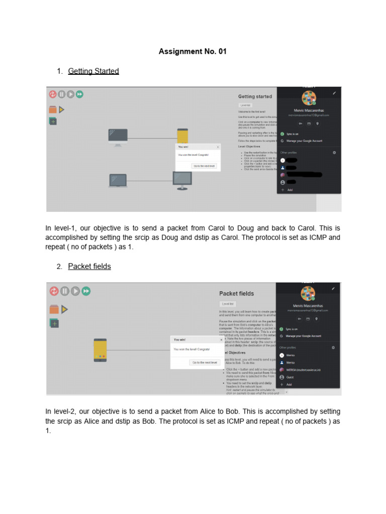 Assignment No 01 CN | PDF