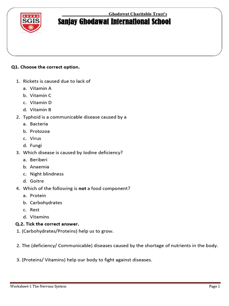 Grade 5 Chapter 5 Worksheet | PDF