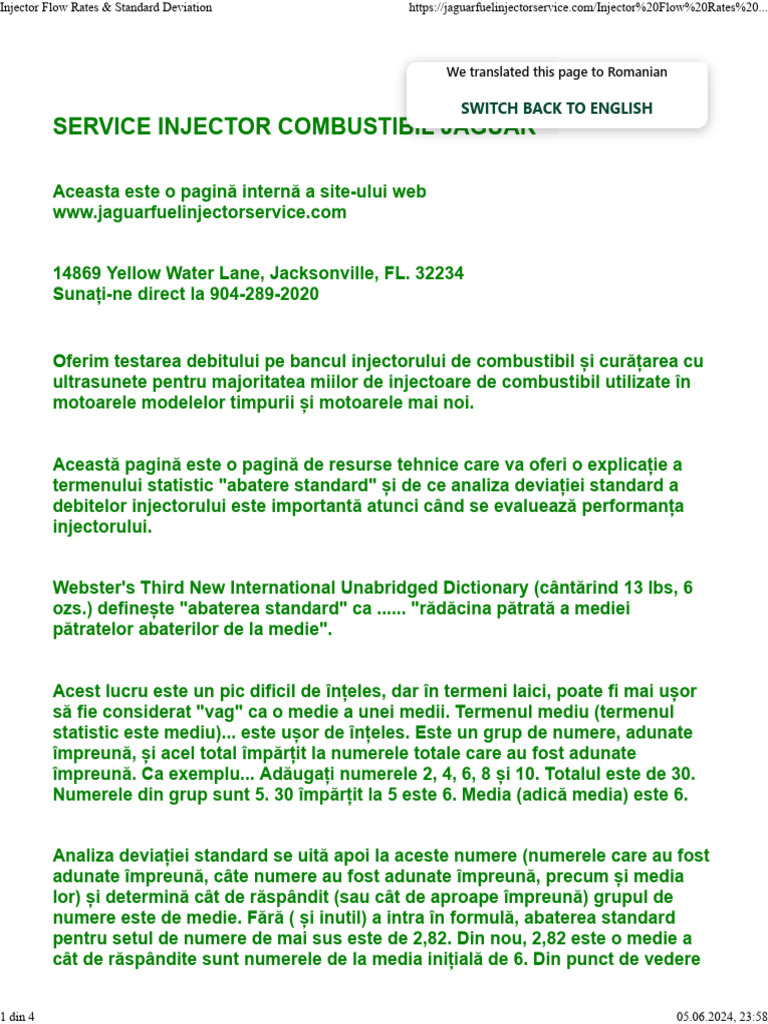Injector Flow Rates & Standard Deviation | PDF