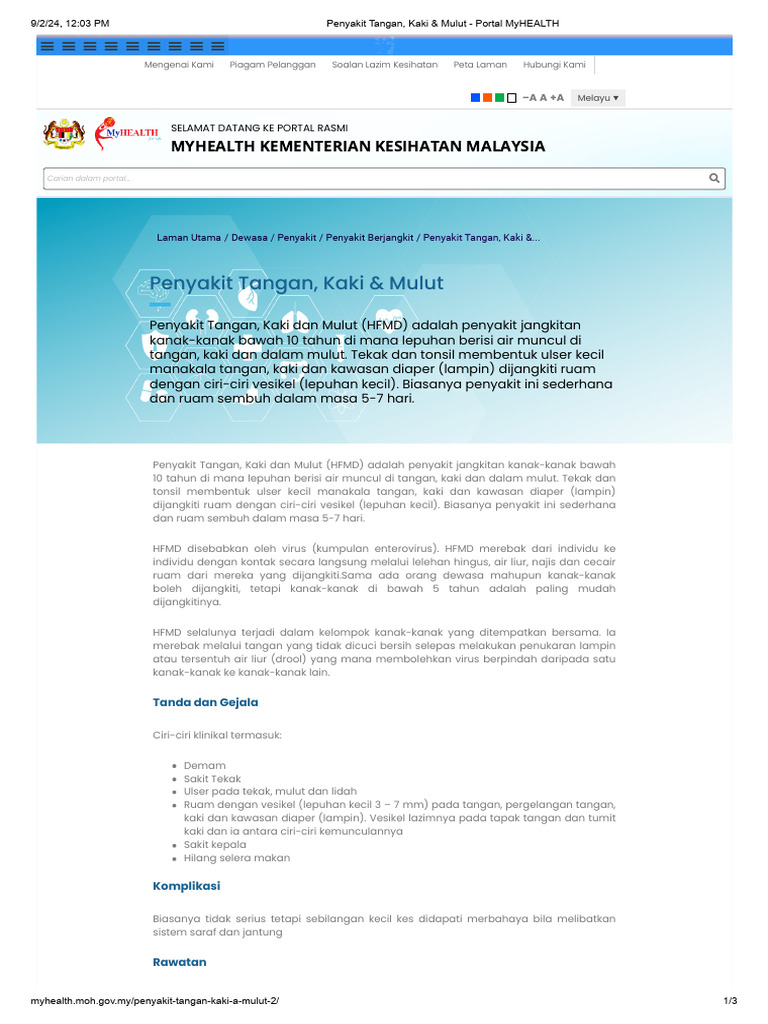 Penyakit Tangan, Kaki Dan Mulut (HFMD) | PDF