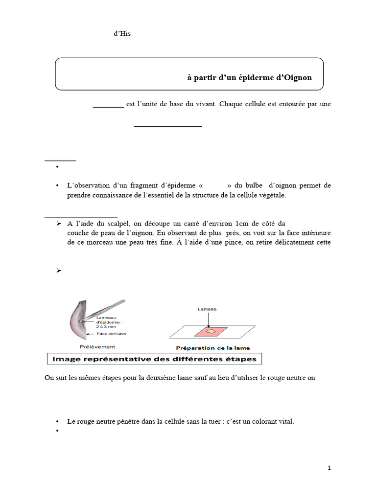 TP #De Cytologie | PDF