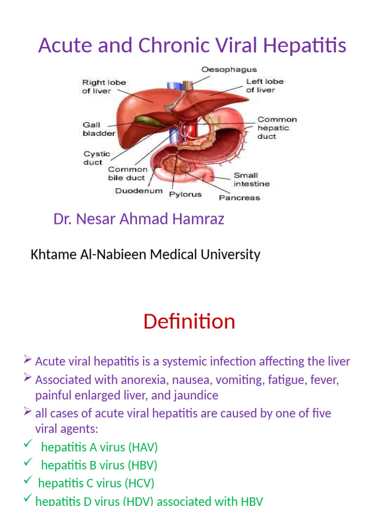 Acute and Chronic Viral Hepatitis | PDF | Hepatitis | Virology