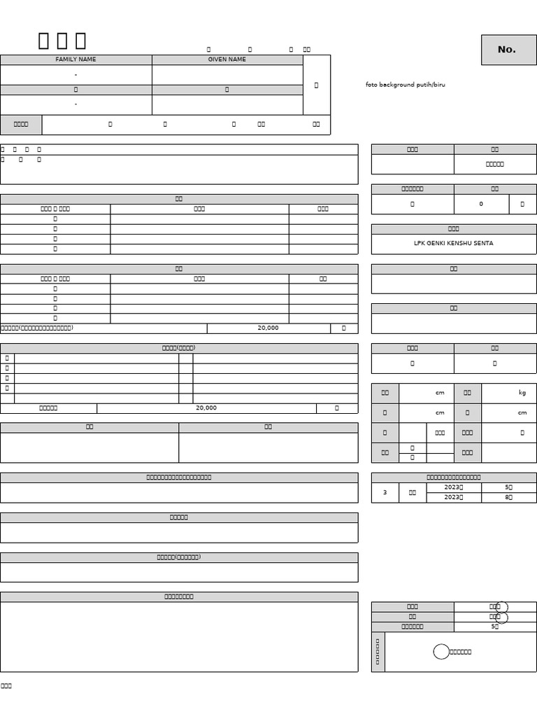 Blank CV | PDF