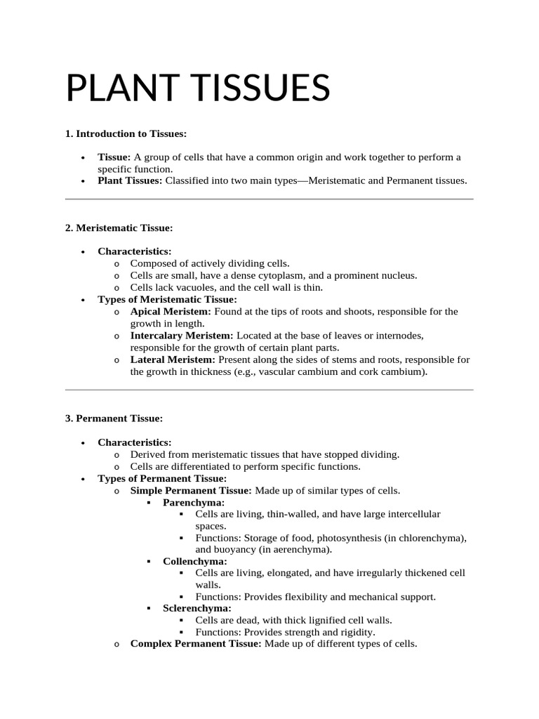 Tissues Class 9 | PDF