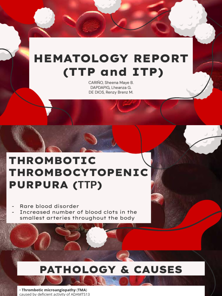 White Blood Cells Disorders by Slidesgo | PDF | Medical Specialties ...