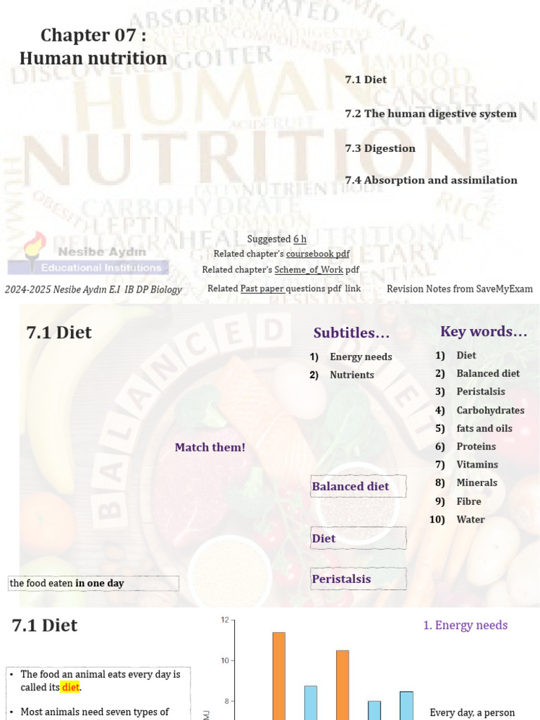 01 - Chapter 07 Human Nutrition | PDF