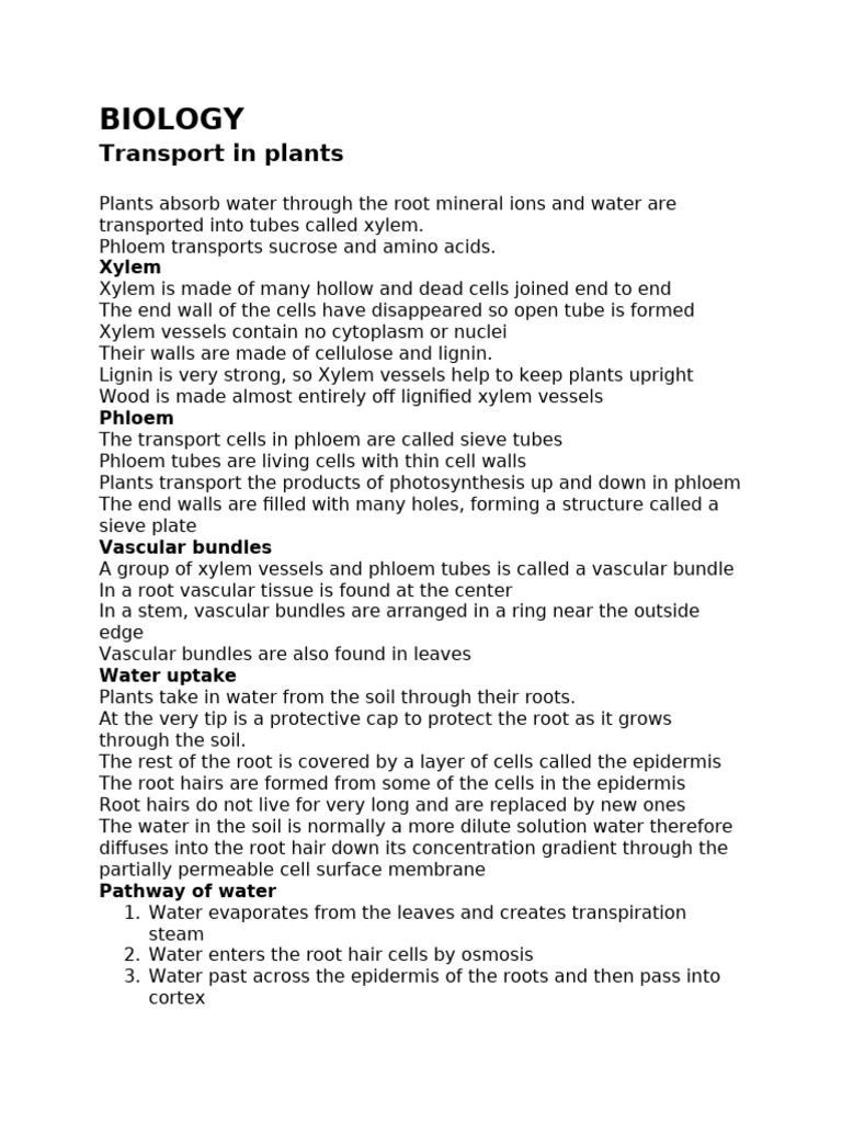 Biology: Transport in Plants | PDF