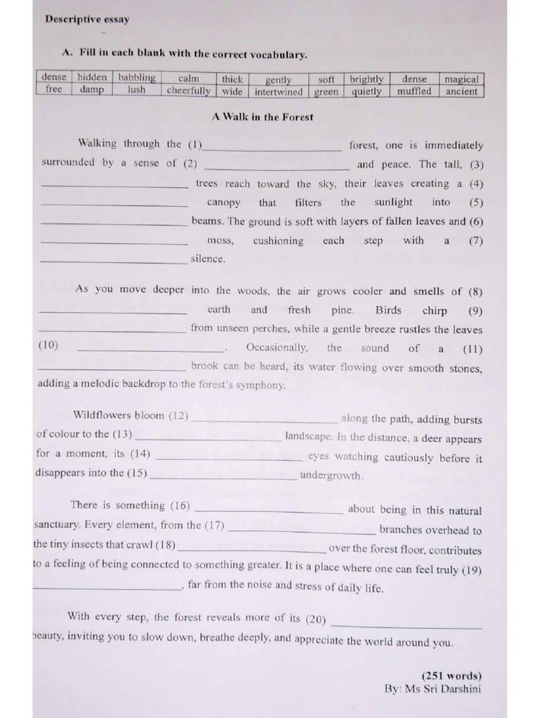 Descriptive Word Forms Exercise | PDF