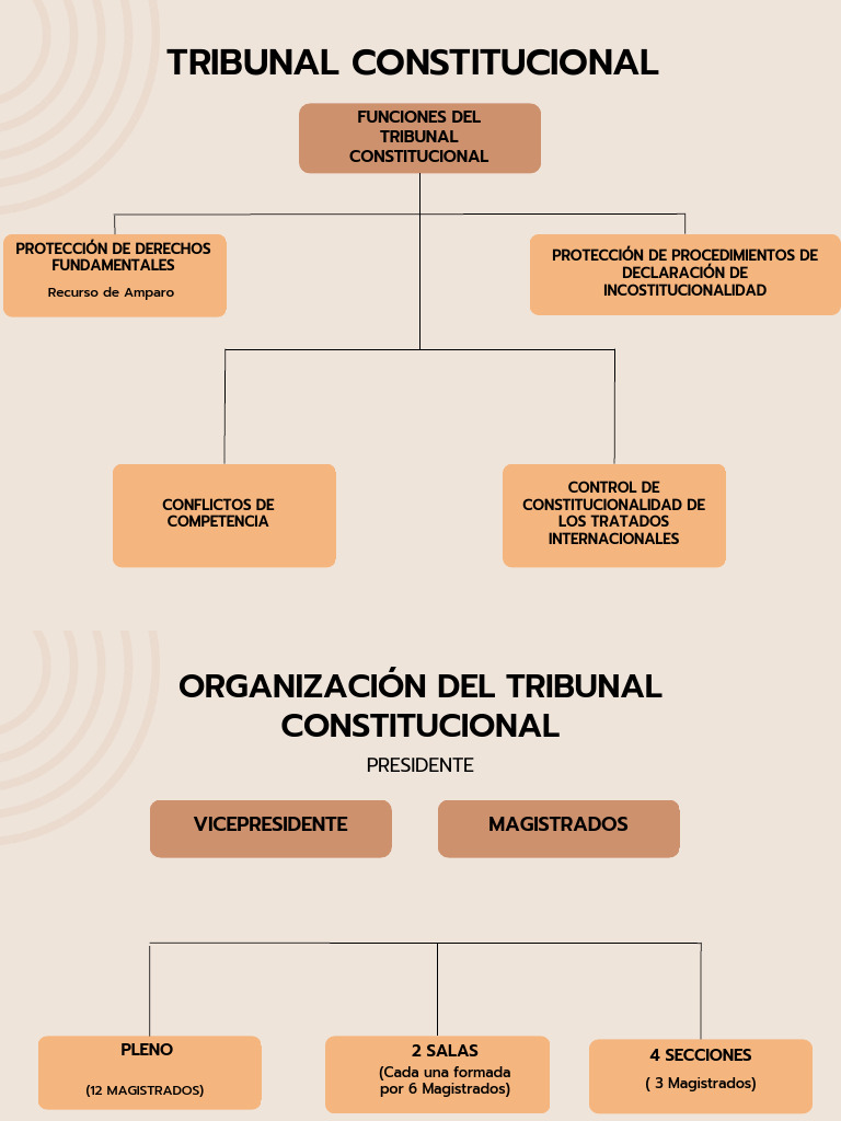 Esquemas Tribunal Constitucionalpdf | PDF