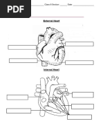 Heart Diagram Gcse Unlabelled Printable - Google Search | PDF