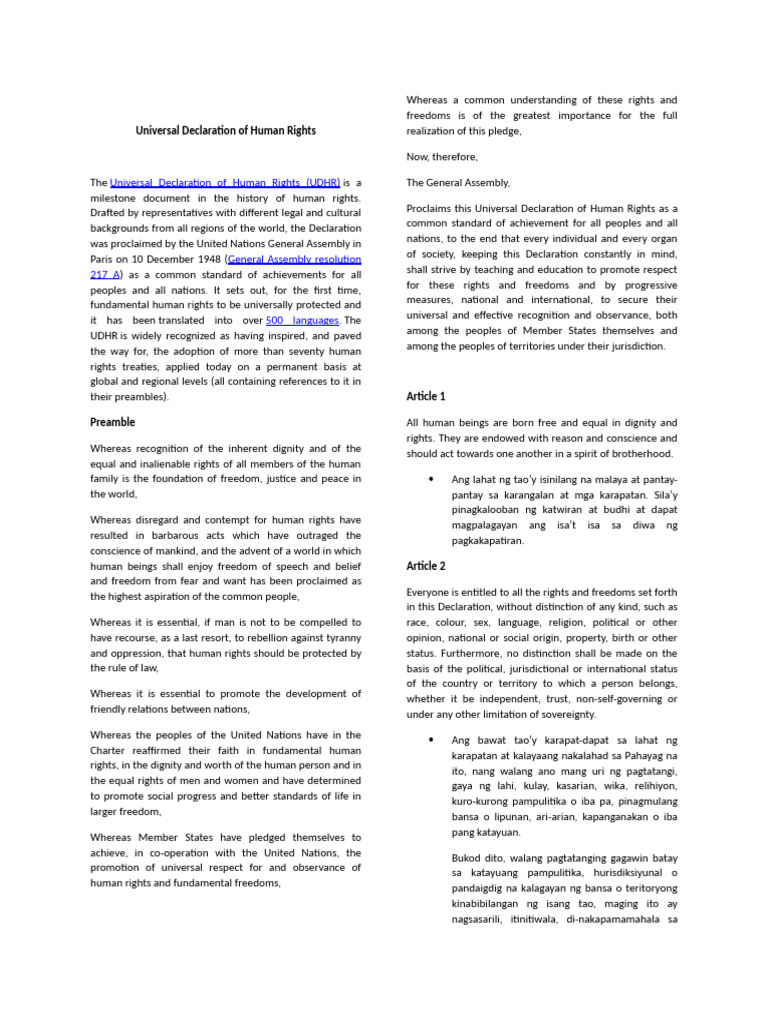 UDHR | PDF
