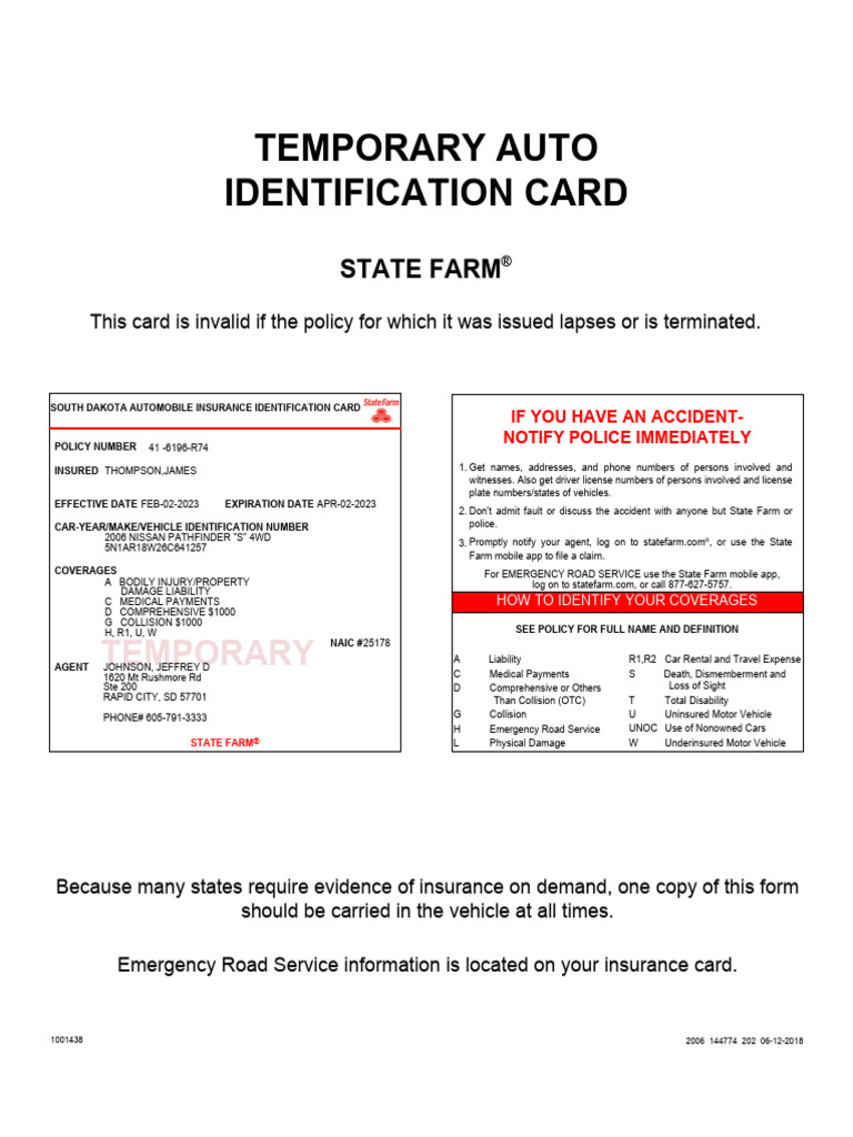 Temporary Auto Identification Card | PDF
