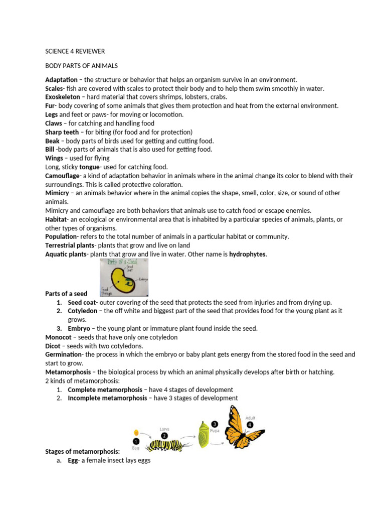 Animal Adaptations & Life Cycles | PDF | Seed | Home & Garden