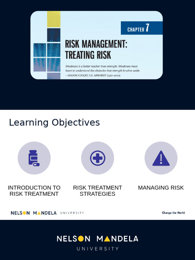 Chapter 07 Risk Management Treating Risk | PDF
