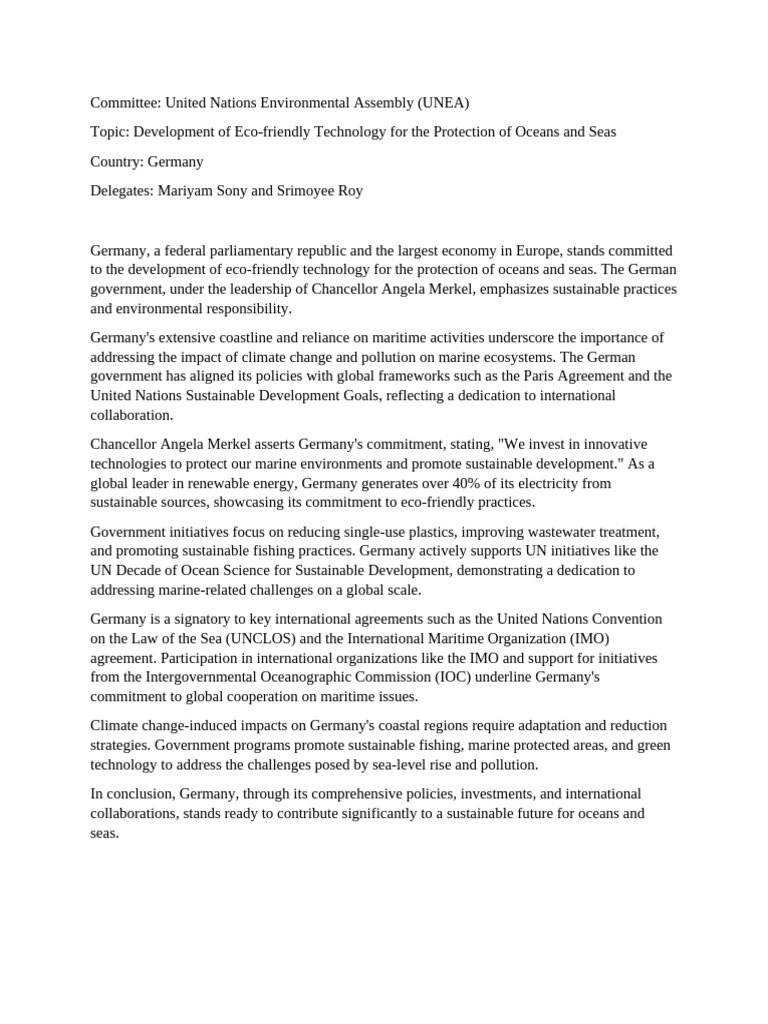 Germany Position Paper | PDF