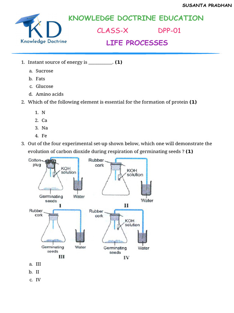 10 Bio DPP1 KD | PDF